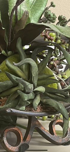 Reorganizing How I Function